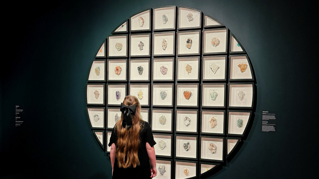 Exquisite Creatures at Crystal Bridges